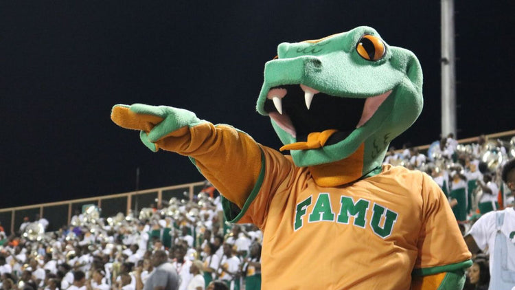 3 Things You Didn’t Know About Florida A&M University – HBCU Leggings